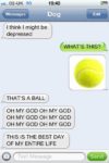 8 Hilarious Text Message Conversations with Dogs - iHeartDogs.com