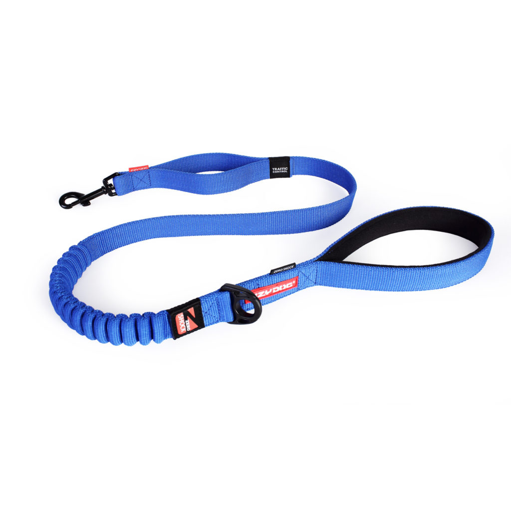 12 Items That Help Teach Your Dog To Heel - iHeartDogs.com