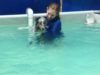 How To Teach Your Dog Not To Be Afraid Of Water - iHeartDogs.com