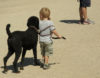12 Most Kid-friendly Dog Breeds - iHeartDogs.com