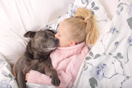Pictures Of These Famous Pittie Brothers Will Abolutely Melt You ...