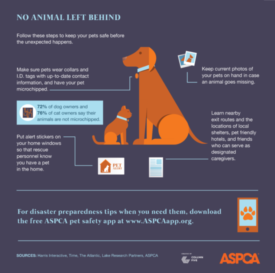 ASPCA Wants You To Remember Your Pets With Disaster Preparedness Tips ...