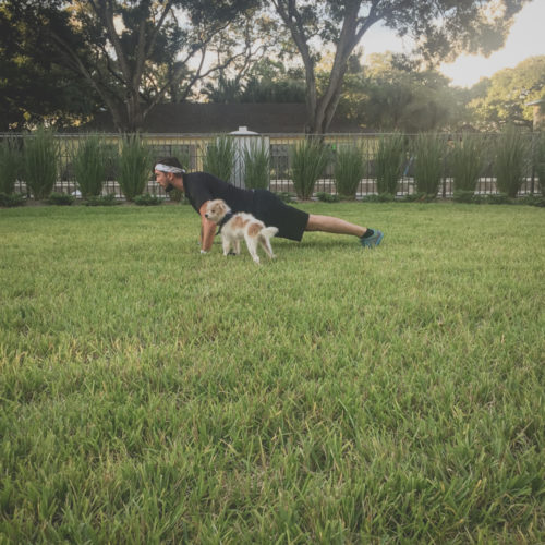 How To Create The Perfect Morning Routine With Your Dog - iHeartDogs.com