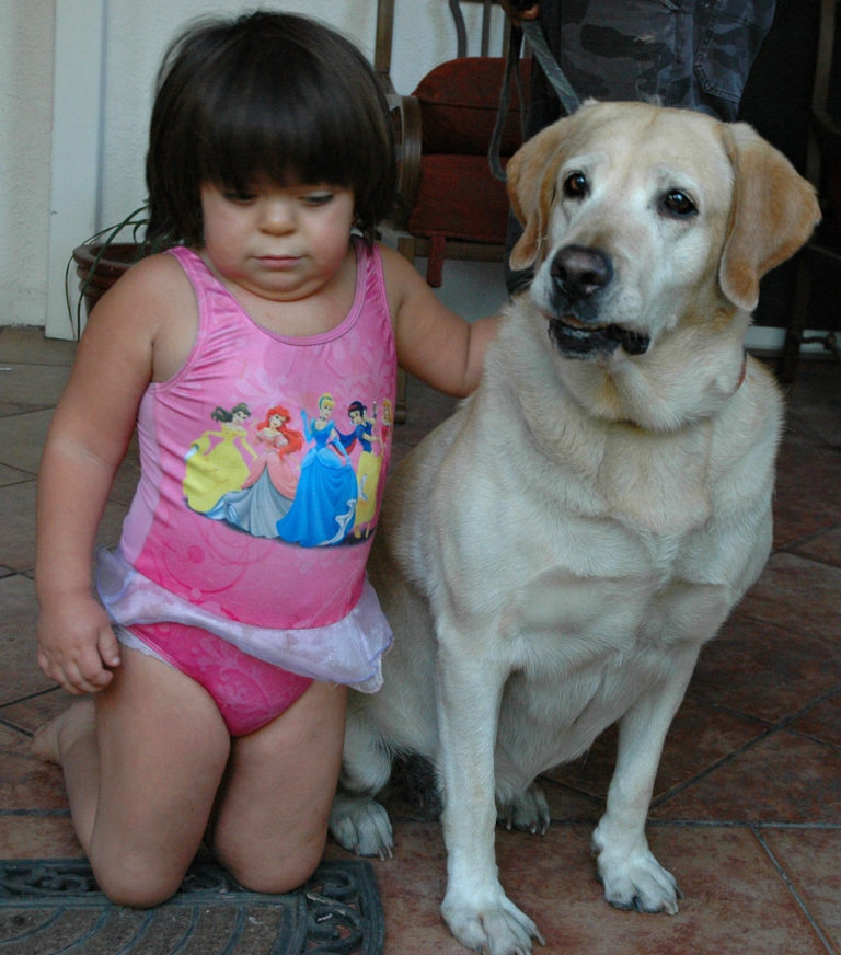 10 Things About Dogs Every Child NEEDS to Know - iHeartDogs.com