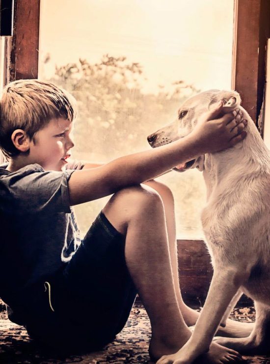 These Gorgeous Photos Capture The Pure Love Between A Boy And His Dog ...