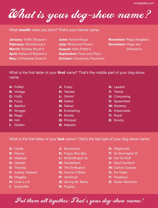 What s Your Dog Show Name Find Out Here 