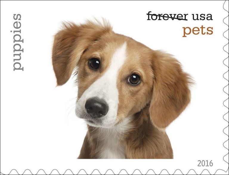U.S. Postal Service Unveils New Pets Forever Postage Stamps ...