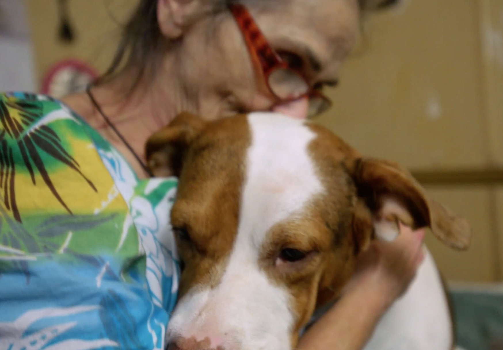 Pet Peace Of Mind Program Helps Hospice Patients With Pets - iHeartDogs.com
