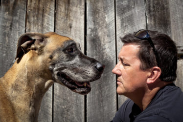 The Real Reason Your Dog Is Staring Into Your Eyes - iHeartDogs.com