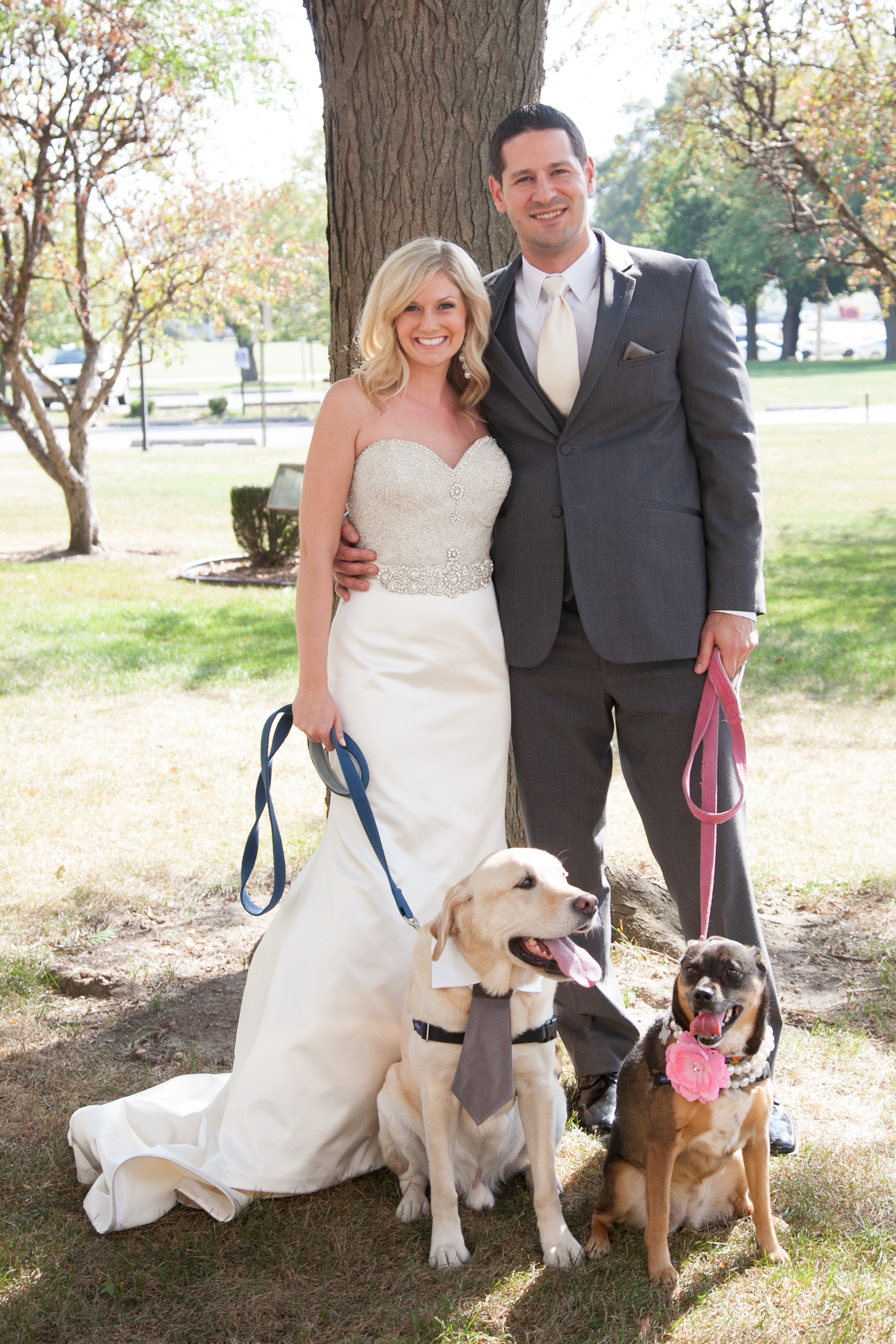 6 Easy Ways To Include Your Dog In Your Wedding - iHeartDogs.com