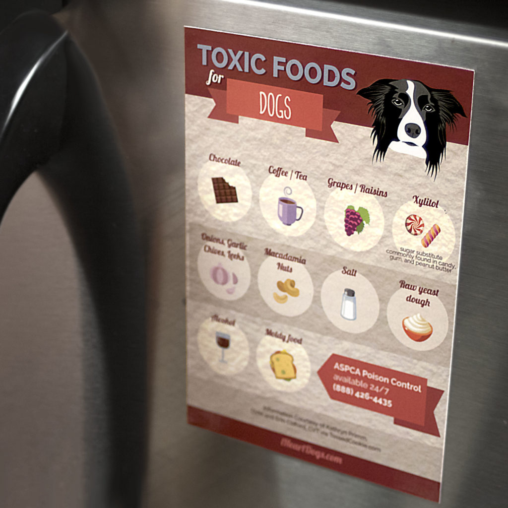 8 Things In Your Home That Are Toxic To Dogs - iHeartDogs.com