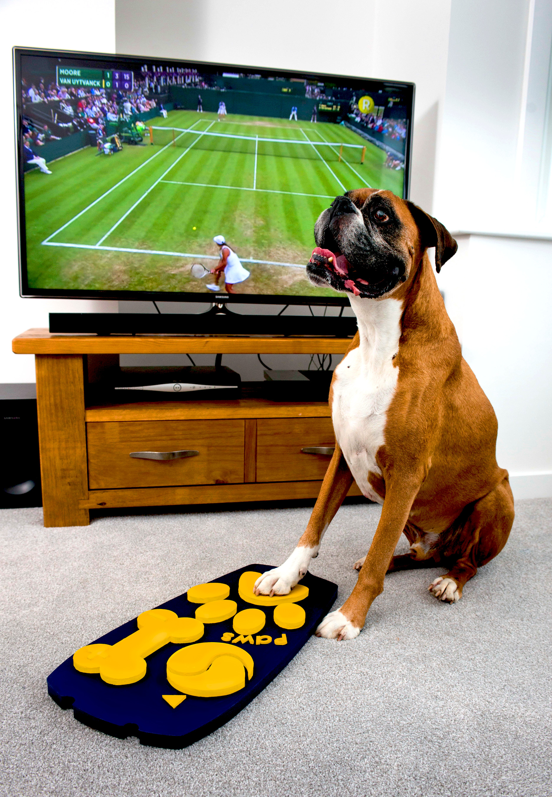 World’s First Dog Remote Gives Your Dog The Control Of The TV ...