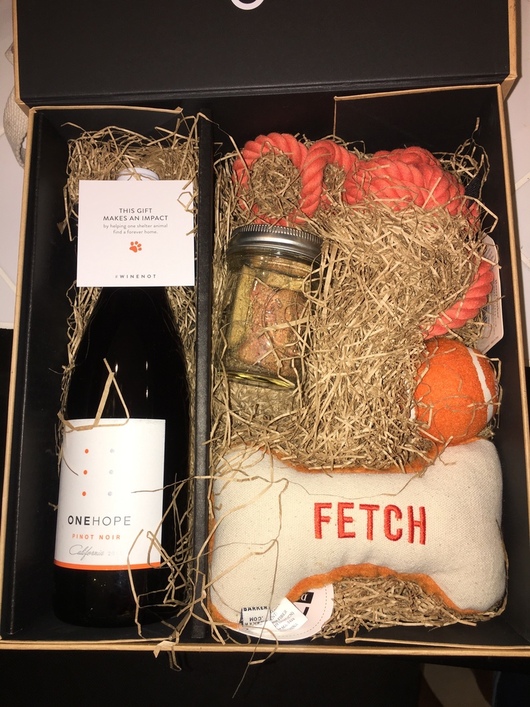 A Perfect Pairing: Wine & Dog Adoptions Come Together With This ...