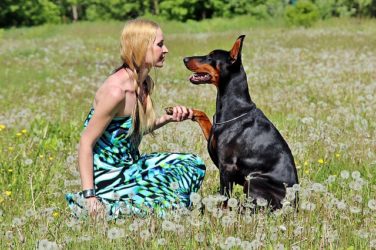 9 Ways To Tell Your Dogs You Love Them In Their Own Language ...
