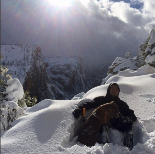Rescued From A Life Of Horror, This Dog Now Explores The World With Her ...