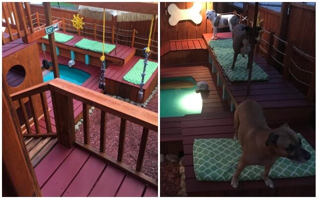 Creative Dog Dad Builds Epic Living Area For His Pooches