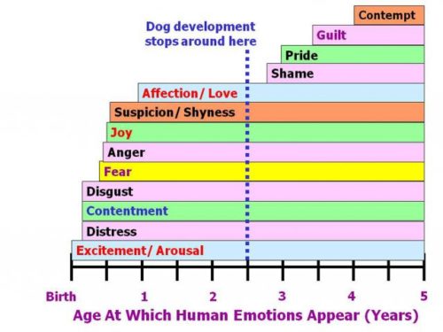 Science Explains How Your Dog REALLY Feels About You - iHeartDogs.com