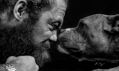 Social Impact - iHeartDogs.com