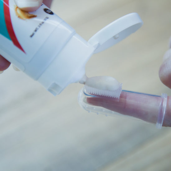 FREE “Invisible” Finger Toothbrush: Perfect for Dogs Who Hate Brushing ...
