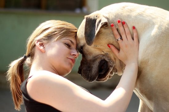 What You Need To Know About Making Eye Contact With Your Dog ...