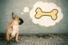 The Do's And Don't's Of Giving Your Dog Bones