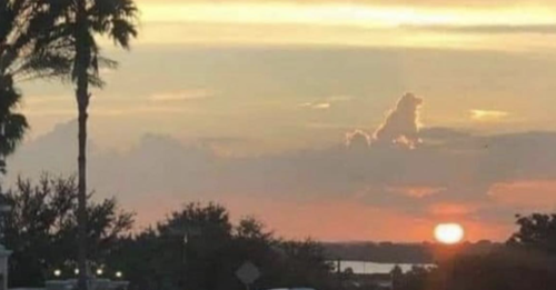 Dog-Shaped Cloud Proves That All Dogs Go to Heaven | Whisker Therapy
