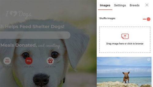 Use Google Chrome? Now You Can Feed Shelter Dogs Every Time You Do an ...