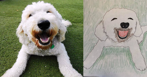 Humane Society Raises $12,000 With Badly Drawn Pets - iHeartDogs.com