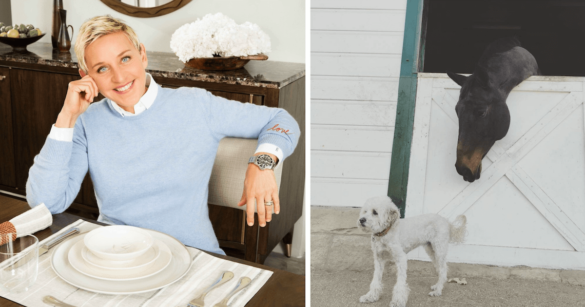 Breaking: Ellen Degeneres Says Goodbye To Her Dog Named Wolf | Whisker ...