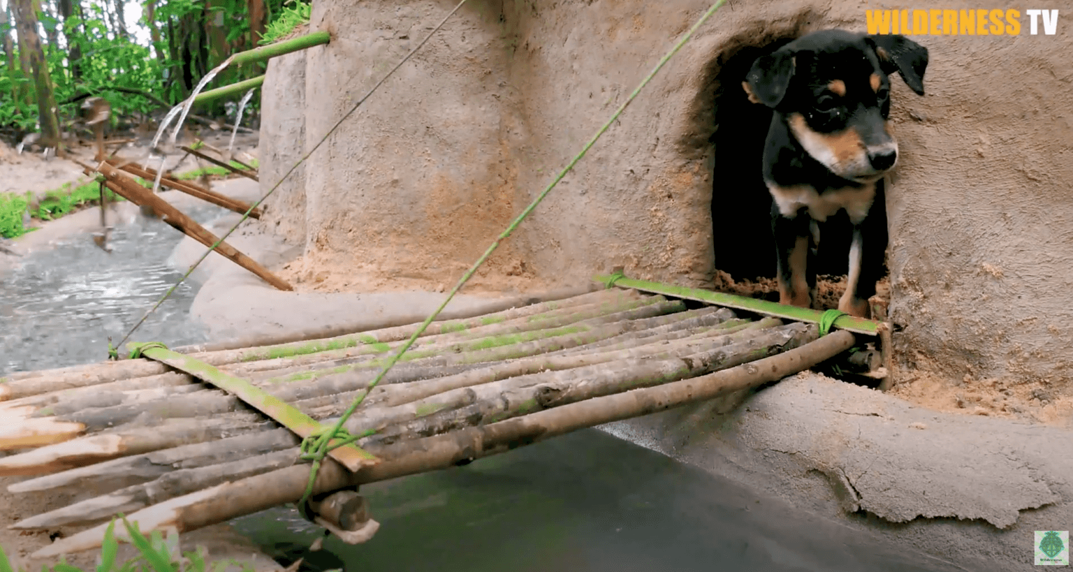 Rescuer Builds Puppies An Elaborate Castle With A Moat - iHeartDogs.com