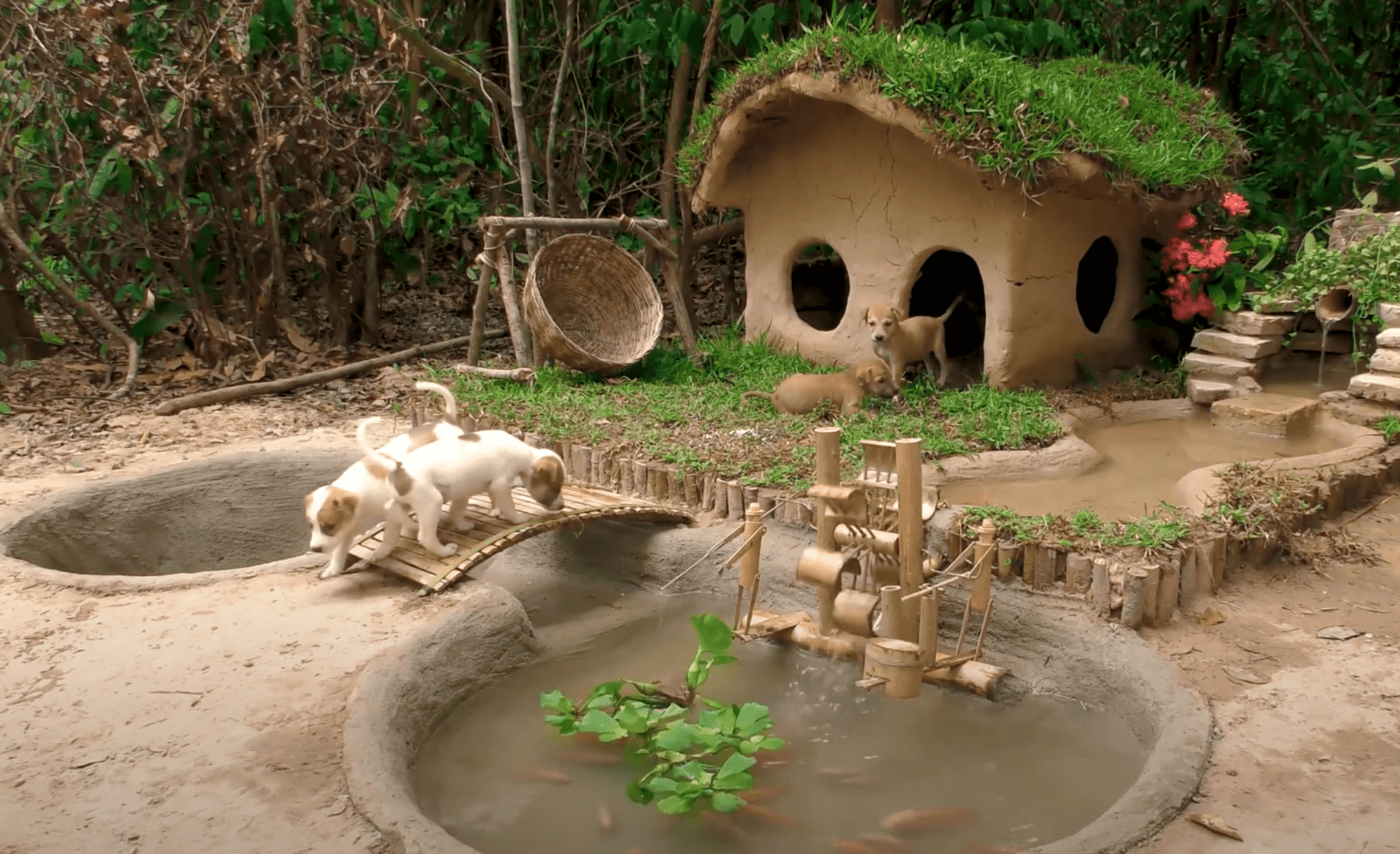 Rescuer Builds Puppies An Elaborate Castle With A Moat - iHeartDogs.com