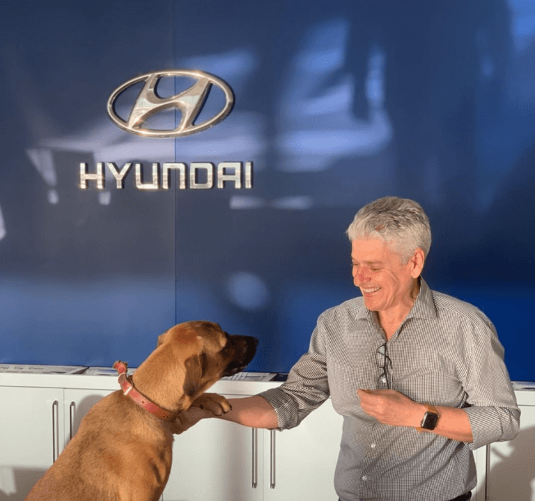 Hyundai Dealership Decides To Adopt Stray Dog Who Kept Visiting Them ...