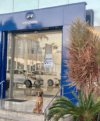 Hyundai Dealership Decides To Adopt Stray Dog Who Kept Visiting Them ...