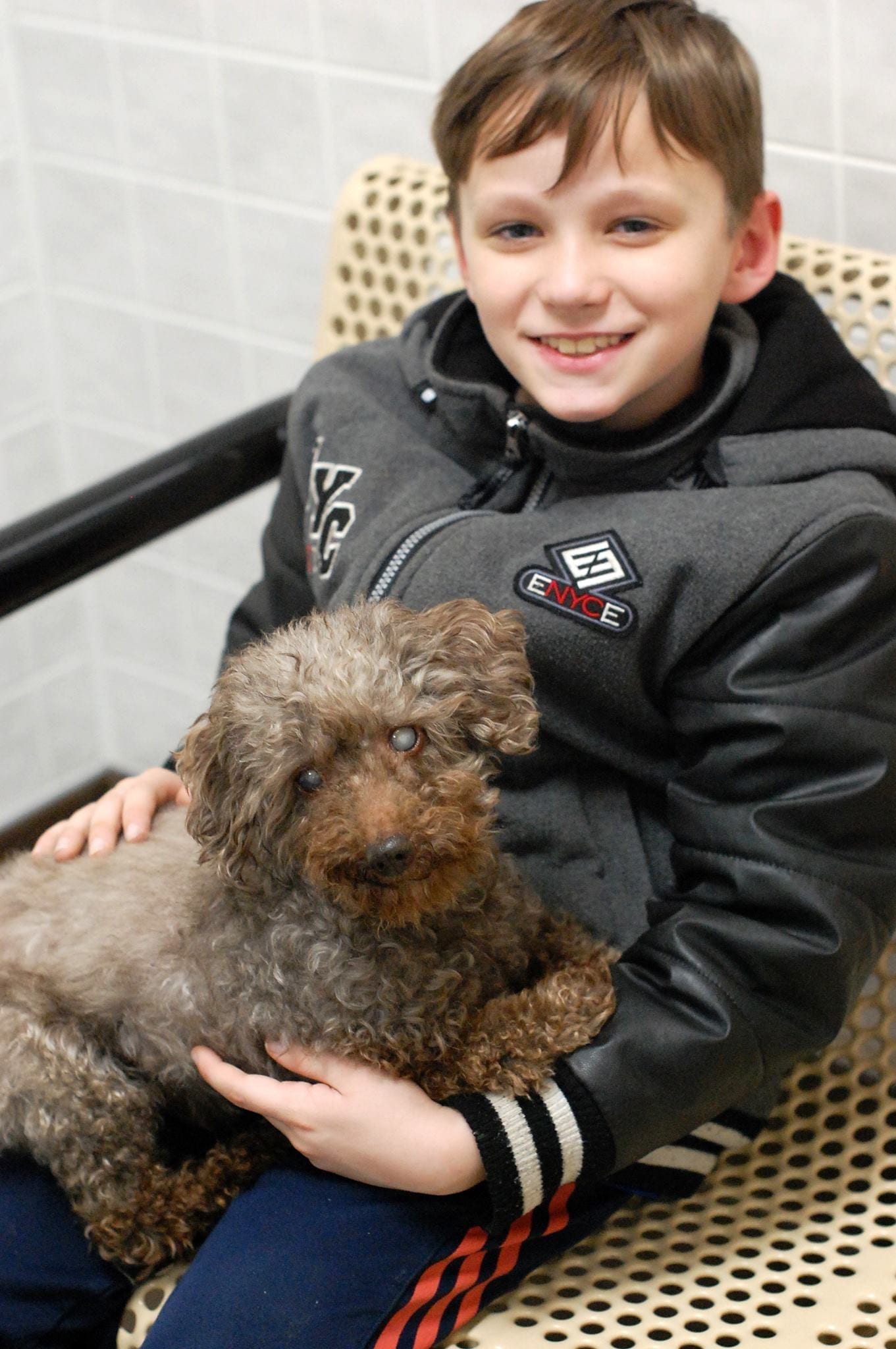 Awesome Kid Rescues The Oldest Dog At A Shelter LaptrinhX News Awesome Kid Rescues The Oldest Dog At A Shelter LaptrinhX News