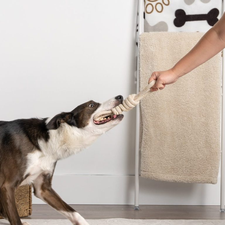 Perfect Tug Knot Rope Dog Toy - iHeartDogs.com