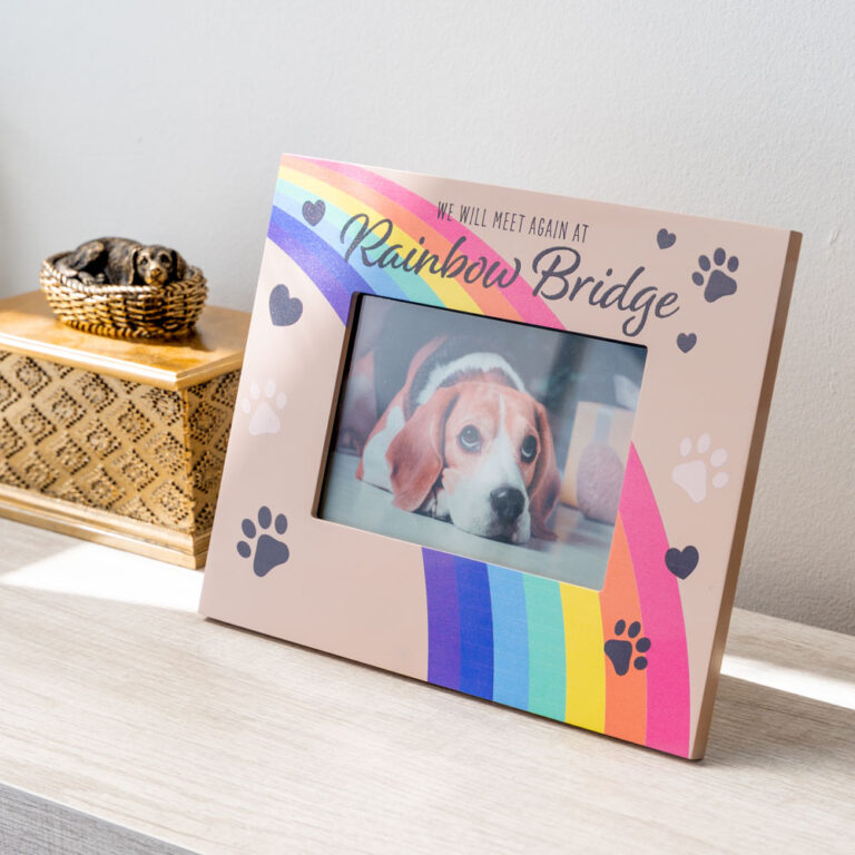 Free! Meet Me At The Rainbow Bridge – Memorial Frame - iHeartDogs.com