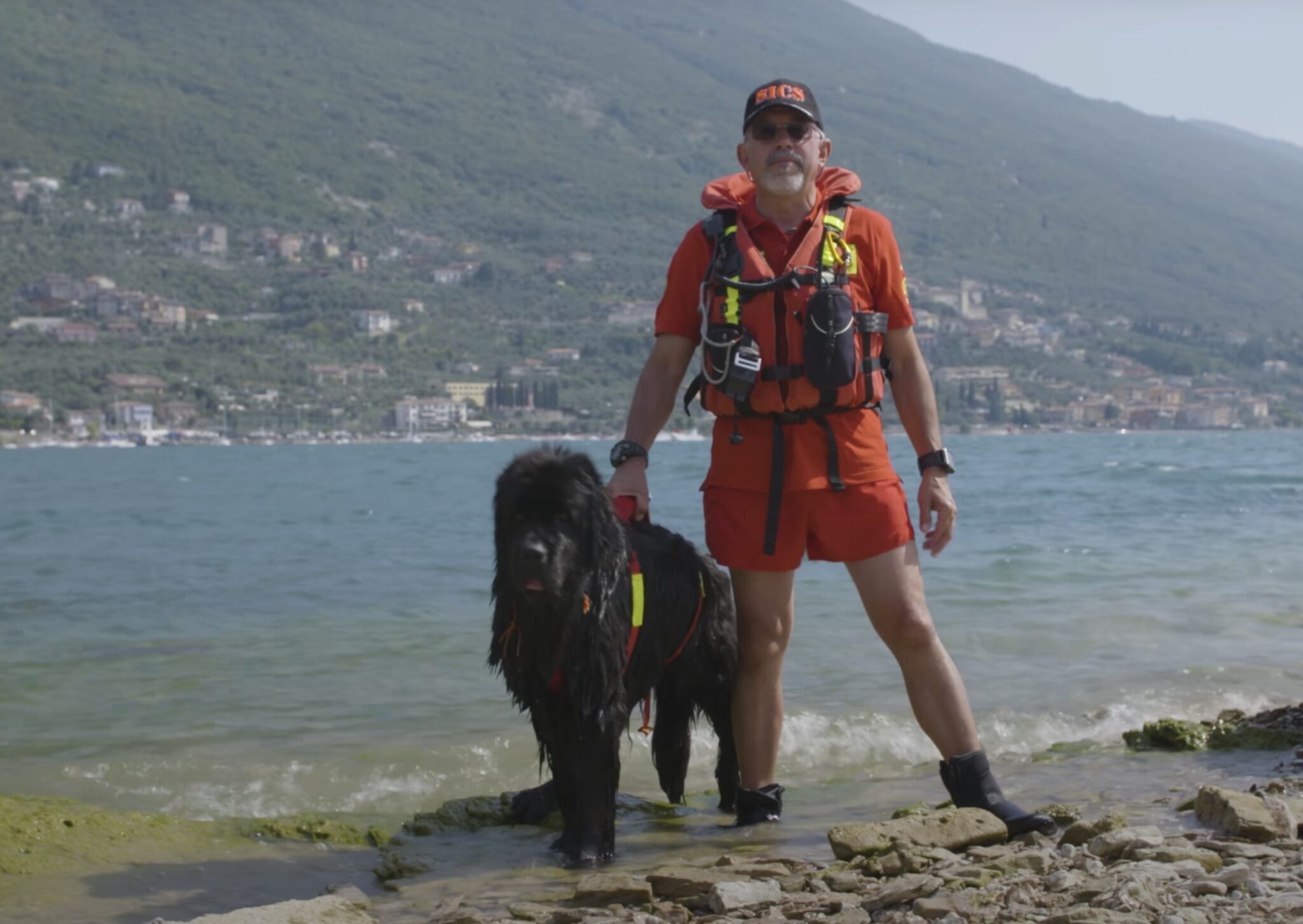 Italian Lifeguard Dogs Leap From Helicopters To Save People ...