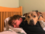 Adopted Dog Was Afraid Of Everything And One Night With His Brother ...