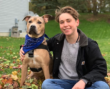 Adopted Dog Was Afraid Of Everything And One Night With His Brother ...