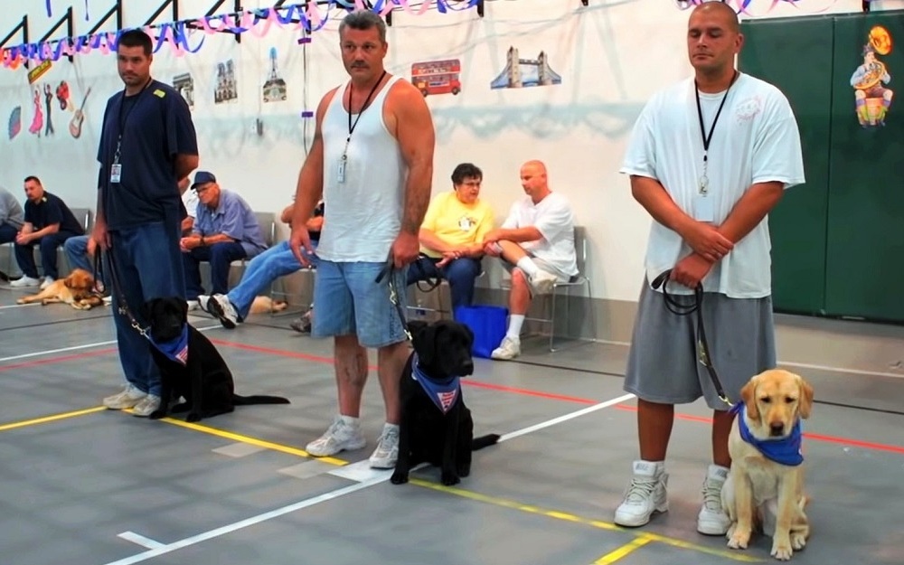 Dog Is Put Into Inmate’s Jail Cell, Inmate Sees The Dog And Swiftly ...