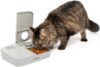 9 Best Automatic Dog Feeders - iHeartDogs.com