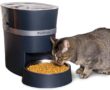 9 Best Automatic Dog Feeders - iHeartDogs.com