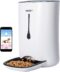 9 Best Automatic Dog Feeders