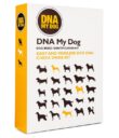 8 Best Dog DNA Test Kits [2023]