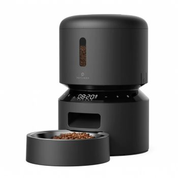 9 Best Automatic Dog Feeders - iHeartDogs.com