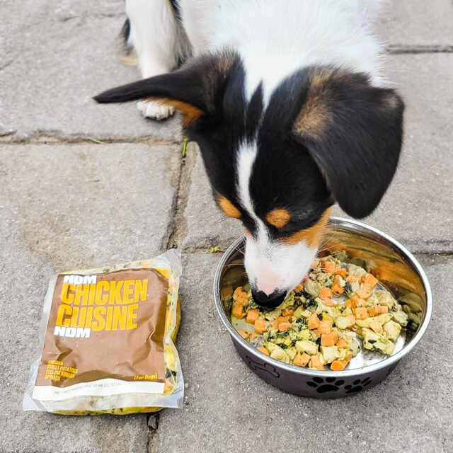 Nom Nom Vs Farmer s Dog Fresh Dog Food Comparison 2023 