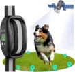 11 Best Invisible Dog Fences