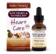 The 14 Best Heart Supplements For Dogs