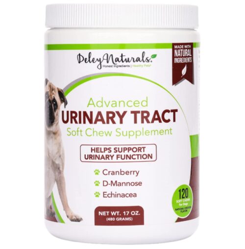 11 Best Urinary, Kidney and Bladder Supplements For Dogs – 2025