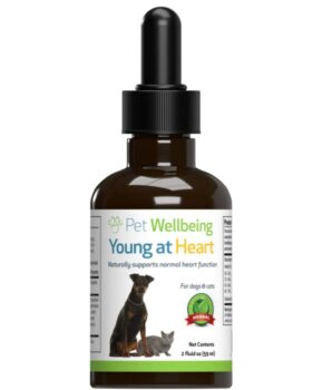 The 14 Best Heart Supplements For Dogs - iHeartDogs.com
